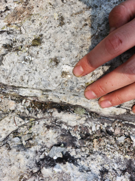 Green Shift Commodities - Armstrong Project